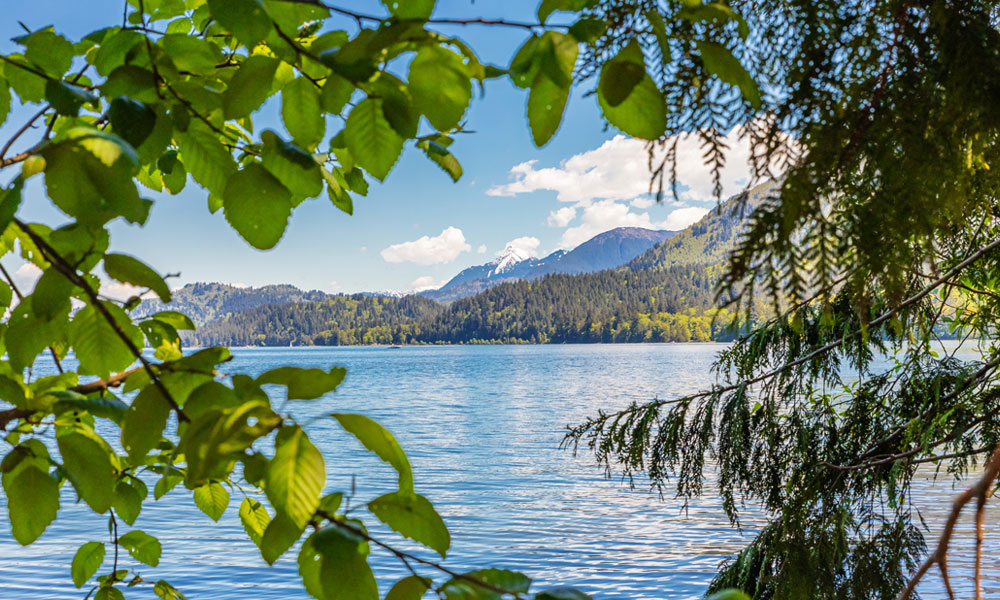 Chilliwack A.A. Meetings | Alcoholics Anonymous® | District 45